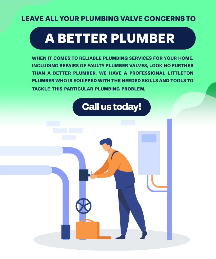 Water Valves Commonly Found in Residential Plumbing Systems | Absolute